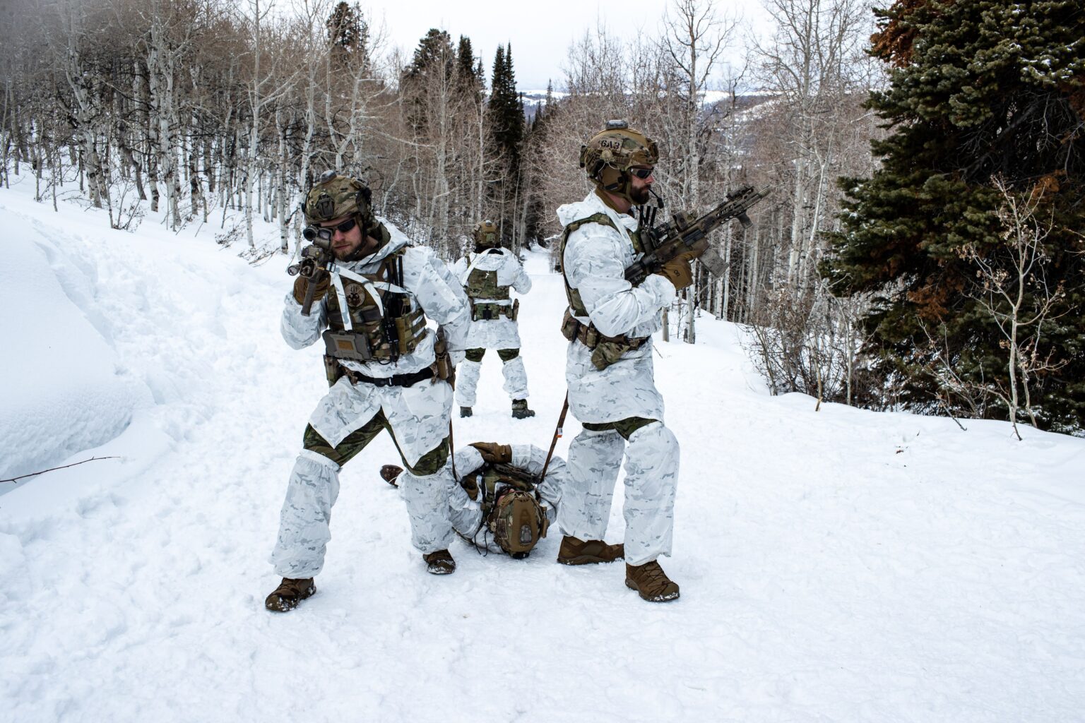 Multicam® Alpine Season - Beez Combat Systems